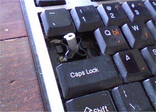 Random Photo: How to Tell If Someone Is Keeping Tabs on You - MajorGeeks Random Photo: How to Tell If Someone Is Keeping Tabs on You - MajorGeeks